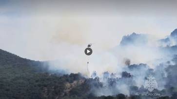 Новости о жизни общества | Monocle.ru